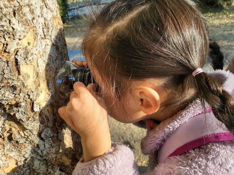 [숲체험] 프리미엄패스 정규반 단체권/ 월1회 총3회 진행 (5세 이상) | 솜씨당