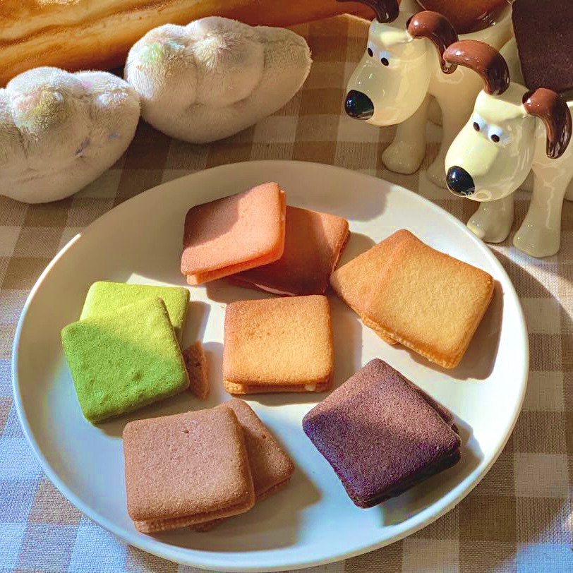 [관악] 진짜 맛있는 고급쿠키! 랑그드샤12pc 만들기! | 솜씨당