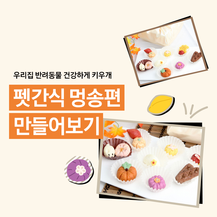 [포항] ﻿펫간식 멍송편 만들기 클래스 | 솜씨당
