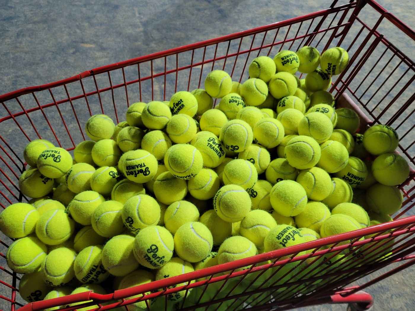 [안산] 테니스 배워 보자~! 누구나 가능한 초보자 원데이 테니스 그룹 레슨 | 솜씨당