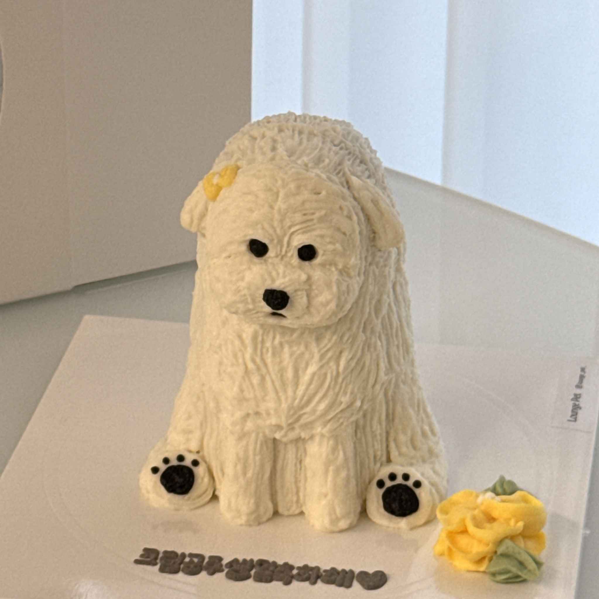 [경기] 강아지 케이크 하나로 시작된 나만의 브랜드, 펫푸드창업 케이크반 | 솜씨당