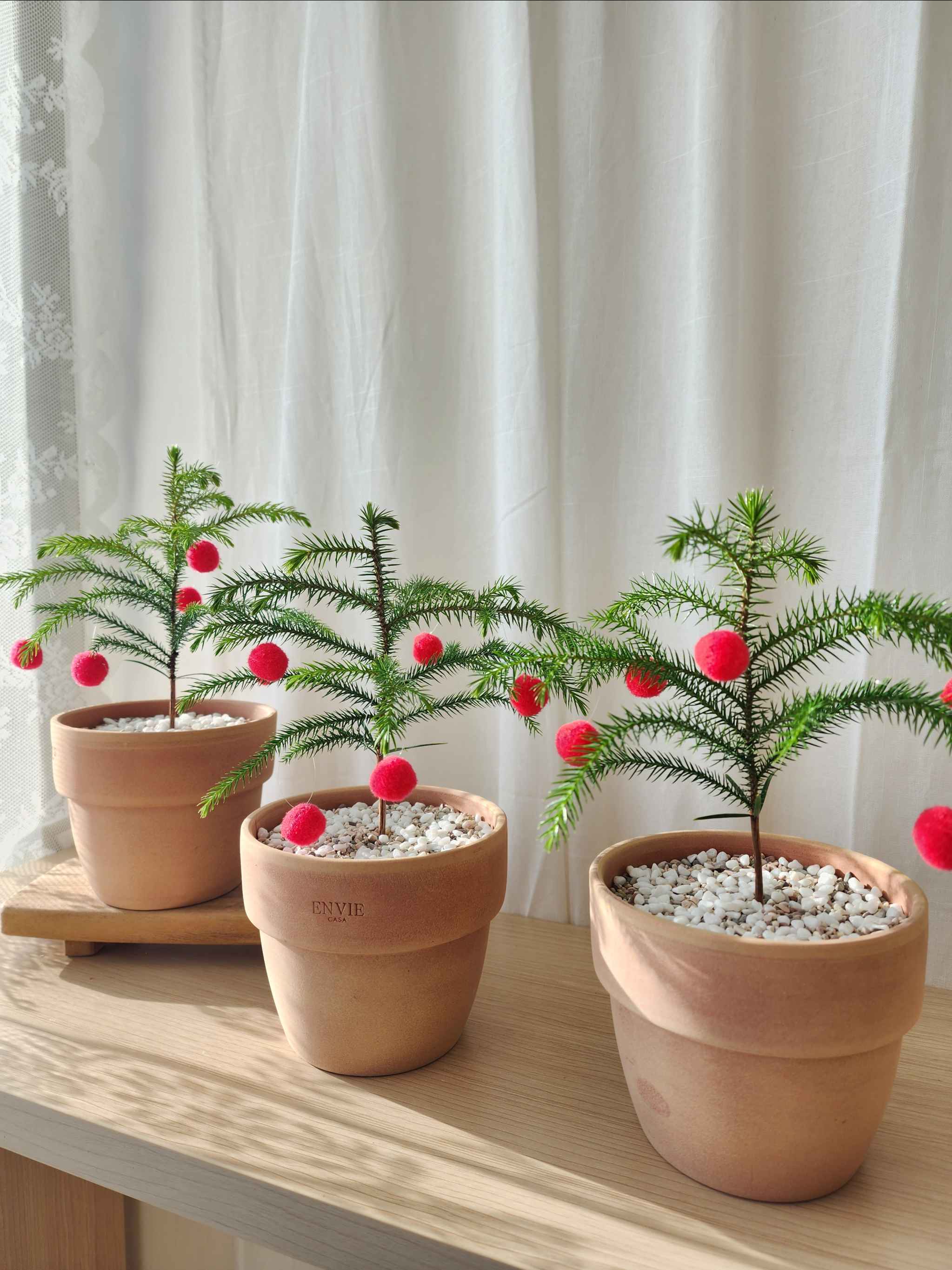 Fresh Flower Christmas Tree Making | 솜씨당