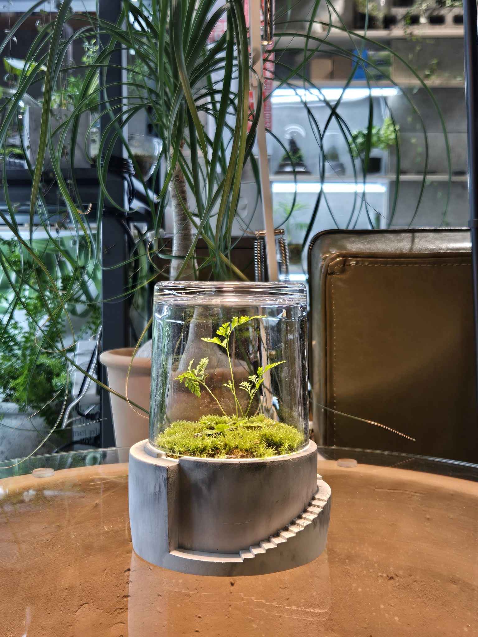 [Incheon/Bupyeong] Concrete Terrarium S-Class | 솜씨당
